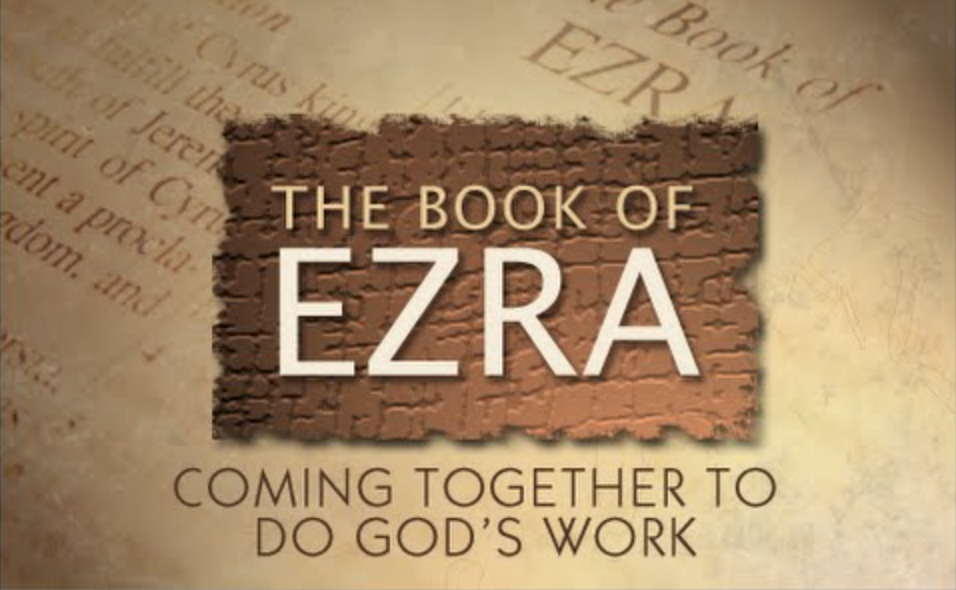 GT Adult Bible Study